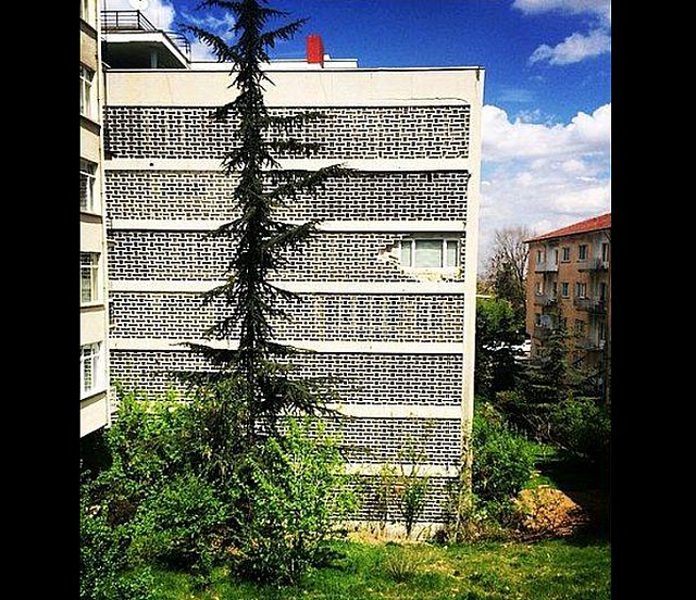 Telaşa Gerek Yok, Cinnah 19 Güvenli Ellerde! - Arkitera