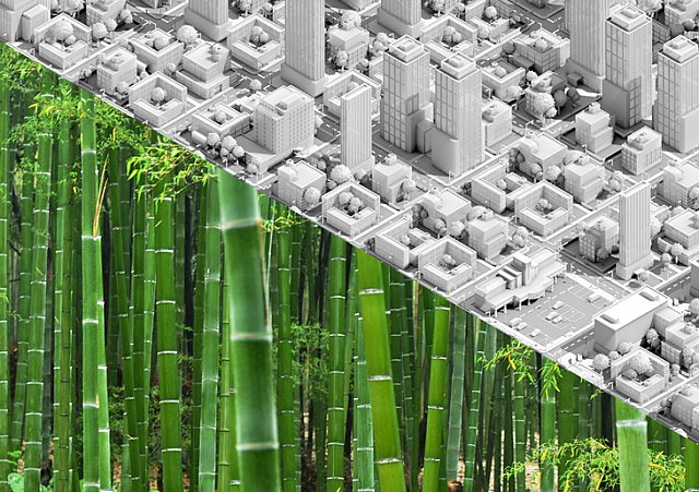 Beton Dışı: Bambu - Arkitera