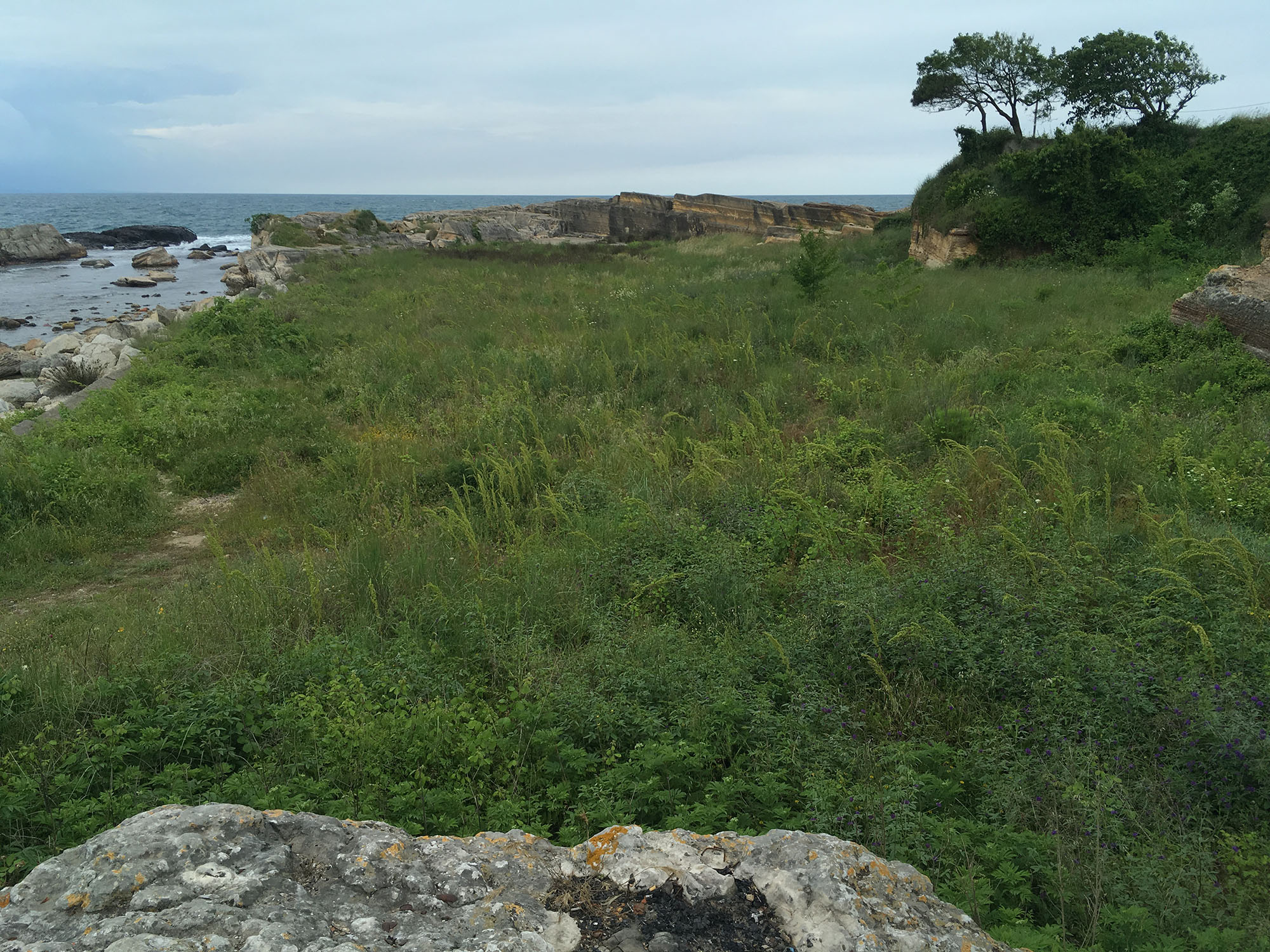 Pembe Kayalar’ın Beton Büzleri: Bir Balık Üretim Çiftliği - Arkitera