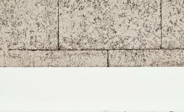 Pierre Chevet Sports Hall (lemoal lemoal architectes) - Arkitera