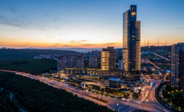 Kuzu Effect - Arkitera