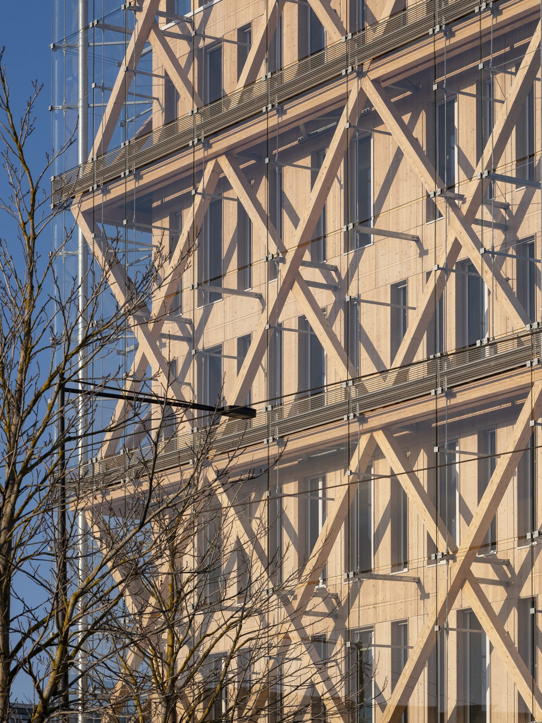 Cam Örtü ile Tamamlanmış Ahşap Strüktür - Arkitera