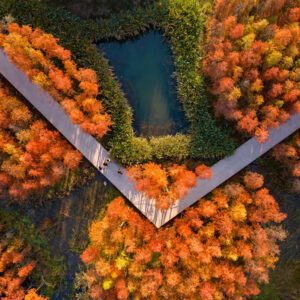 Fish Tail Park - Arkitera