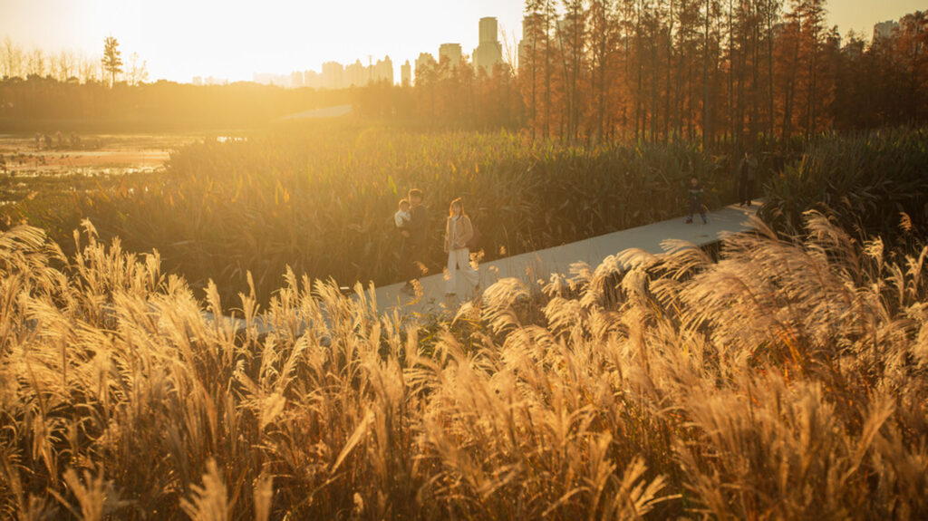 A Floating Forest: Fish Tail Park in Nanchang City - Arkitera