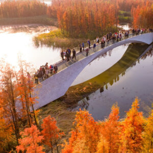 Fish Tail Park - Arkitera