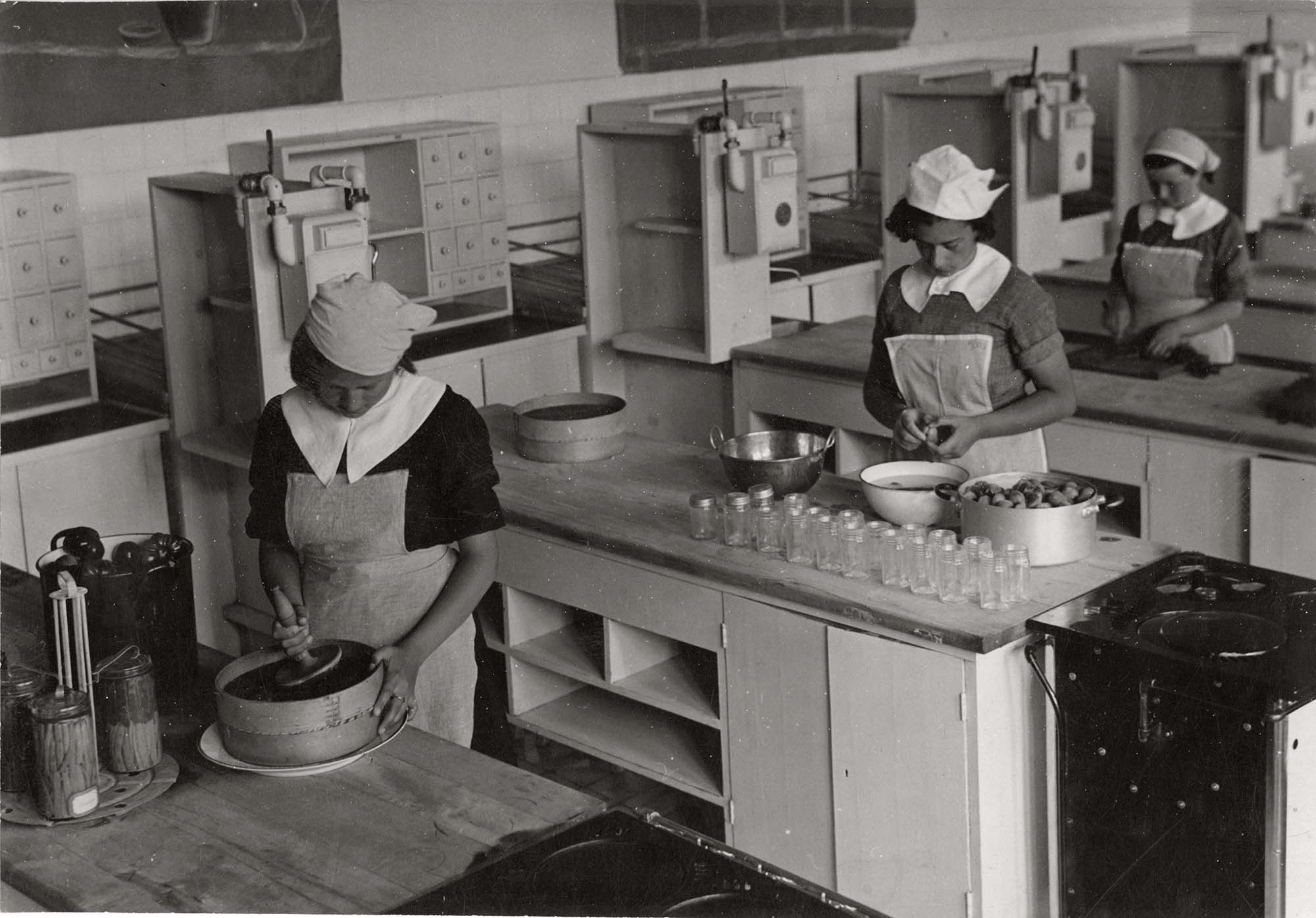 Enstitüler ve Bir Fikrin Toplumsal İnşası: Geçiş Yıllarında ...