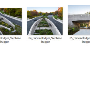 Ulaşımın Buluşma Noktası: Darwin Bridges - Arkitera