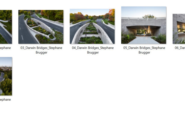 Ulaşımın Buluşma Noktası: Darwin Bridges - Arkitera