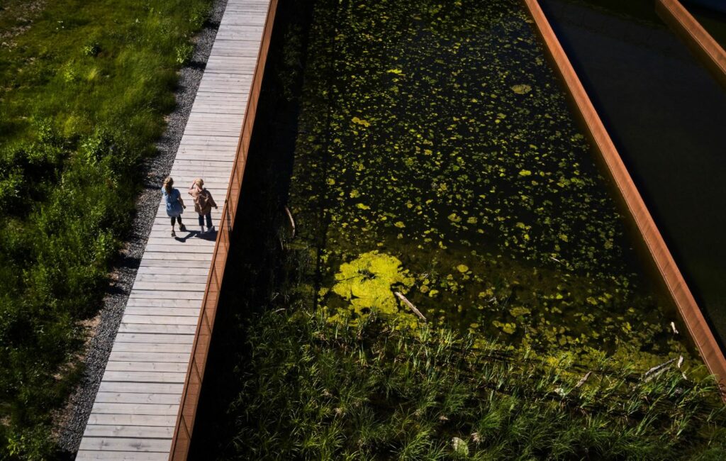 İsveç’te Doğayla Bütünleşen Yağmur Suyu Göleti - Arkitera