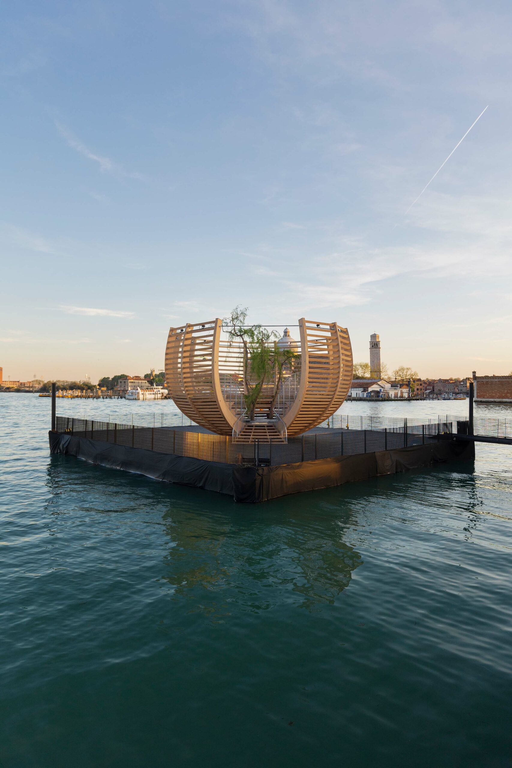 Arena For a Tree - Arkitera