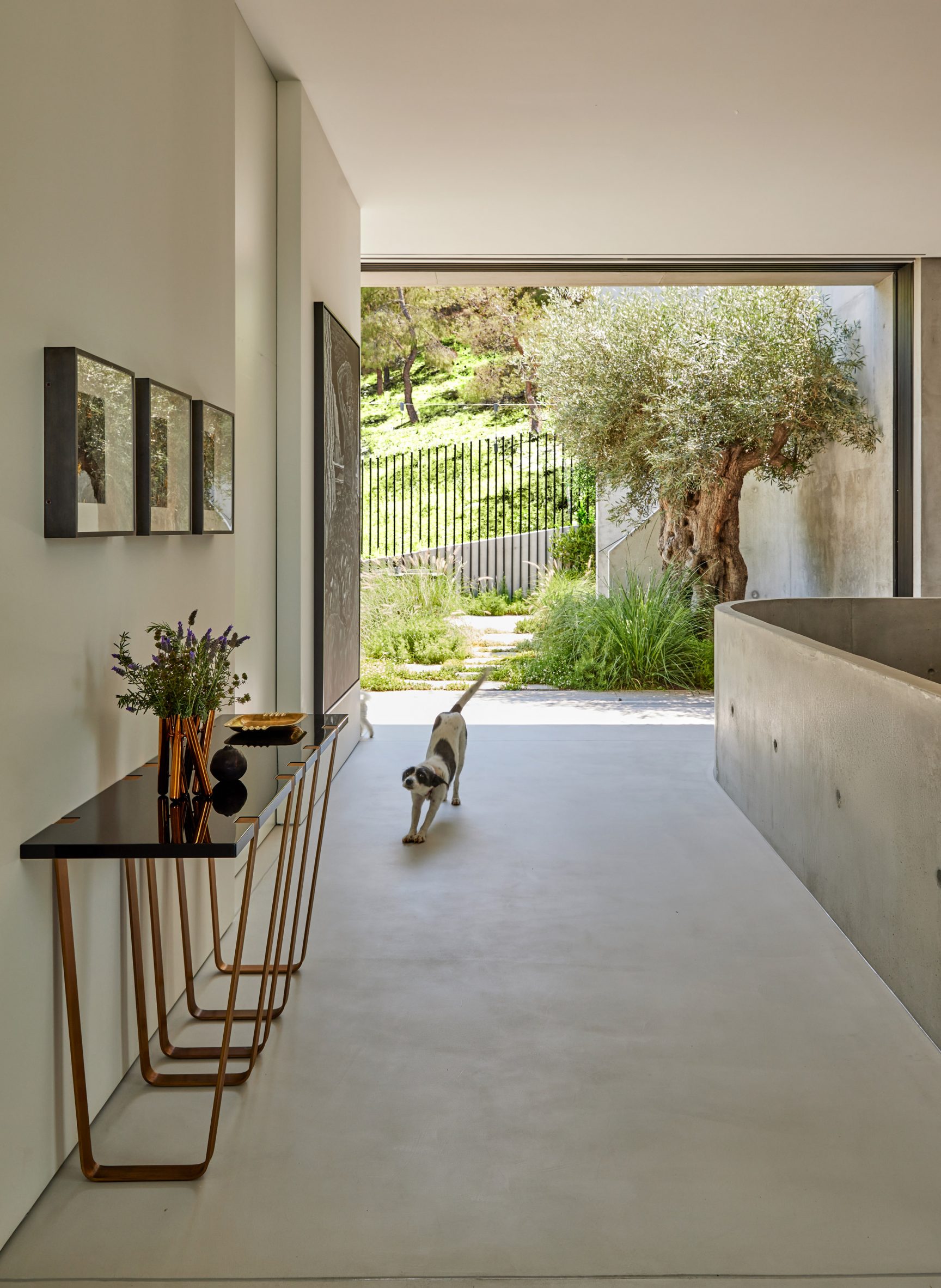 Vaha Benzeri Bahçedeki Monolitik Konut: Art House - Arkitera